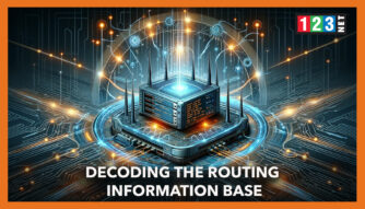 The Fundamentals of RIB: What You Need to Know