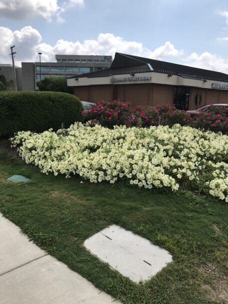 What are Handholes and Why They Matter